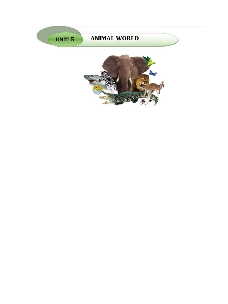 Vocabulary Matching: Animal Terms | PDF | Zoology