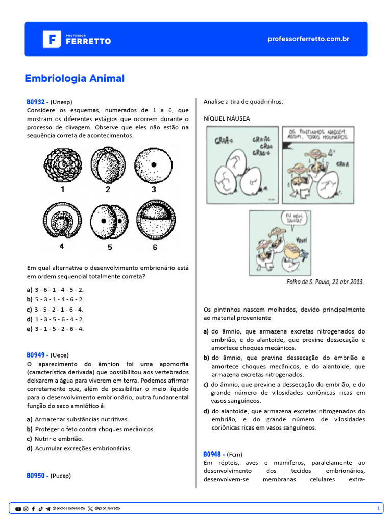 Estágios da Embriologia Animal e Anexos | PDF | Embrião | Ovo