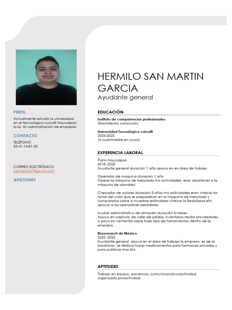 Perfil Profesional de Hermilo San Martín | PDF