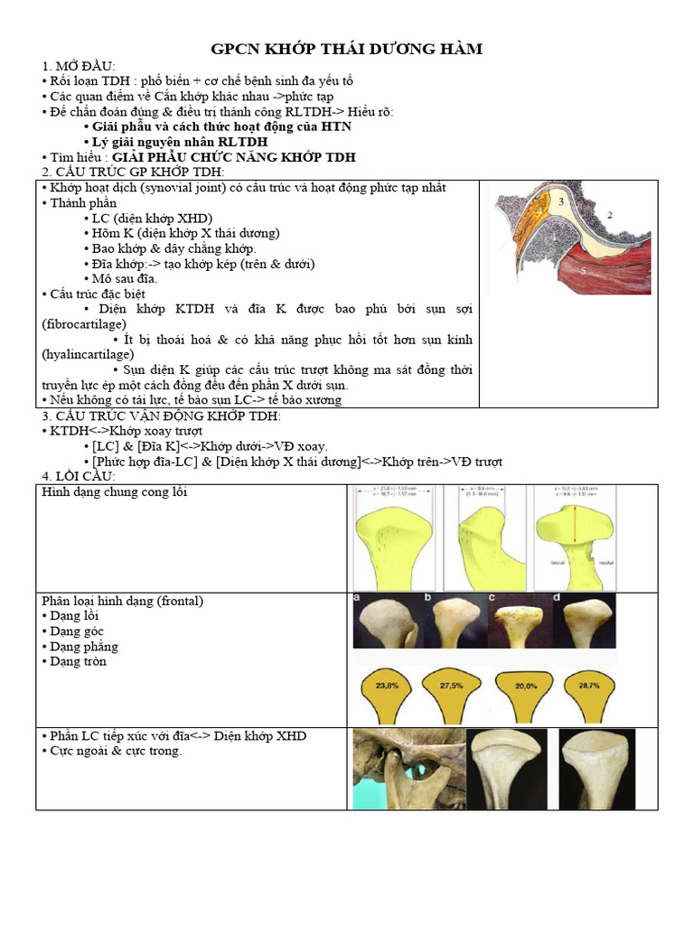GPCN KH P Thái Dương Hàm | PDF