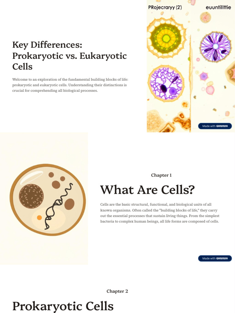 Key Differences Prokaryotic Vs Eukaryotic Cells | PDF | Cell (Biology ...