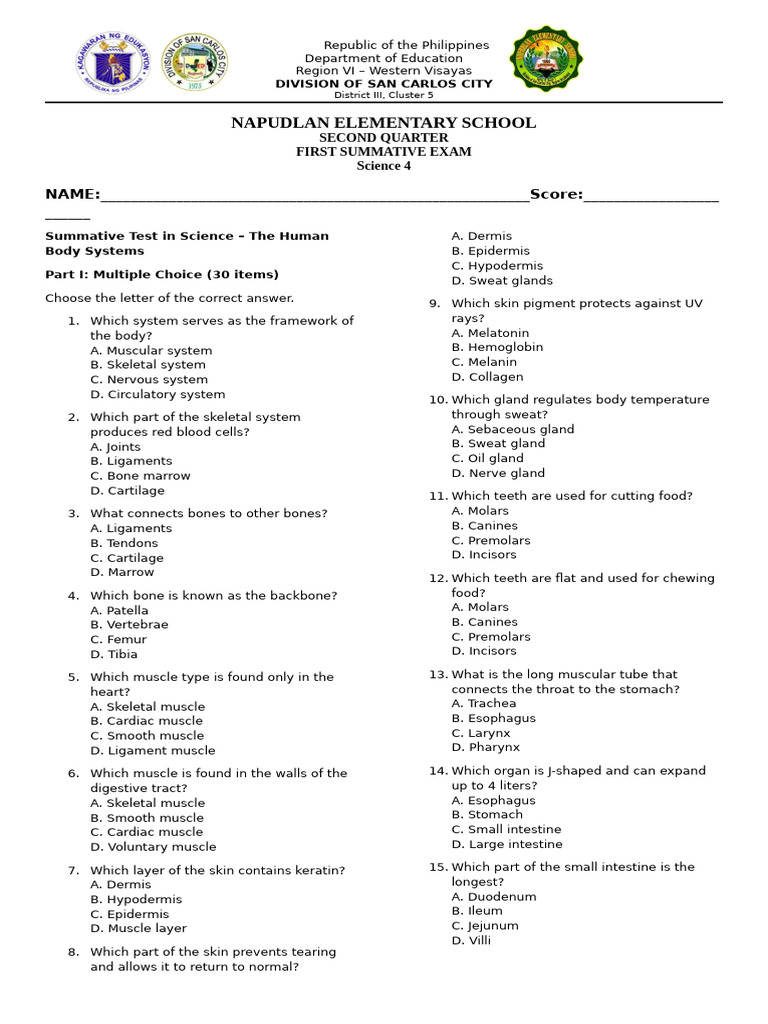 Science 4 Summative Exam: Human Body | PDF | Lung | Small Intestine