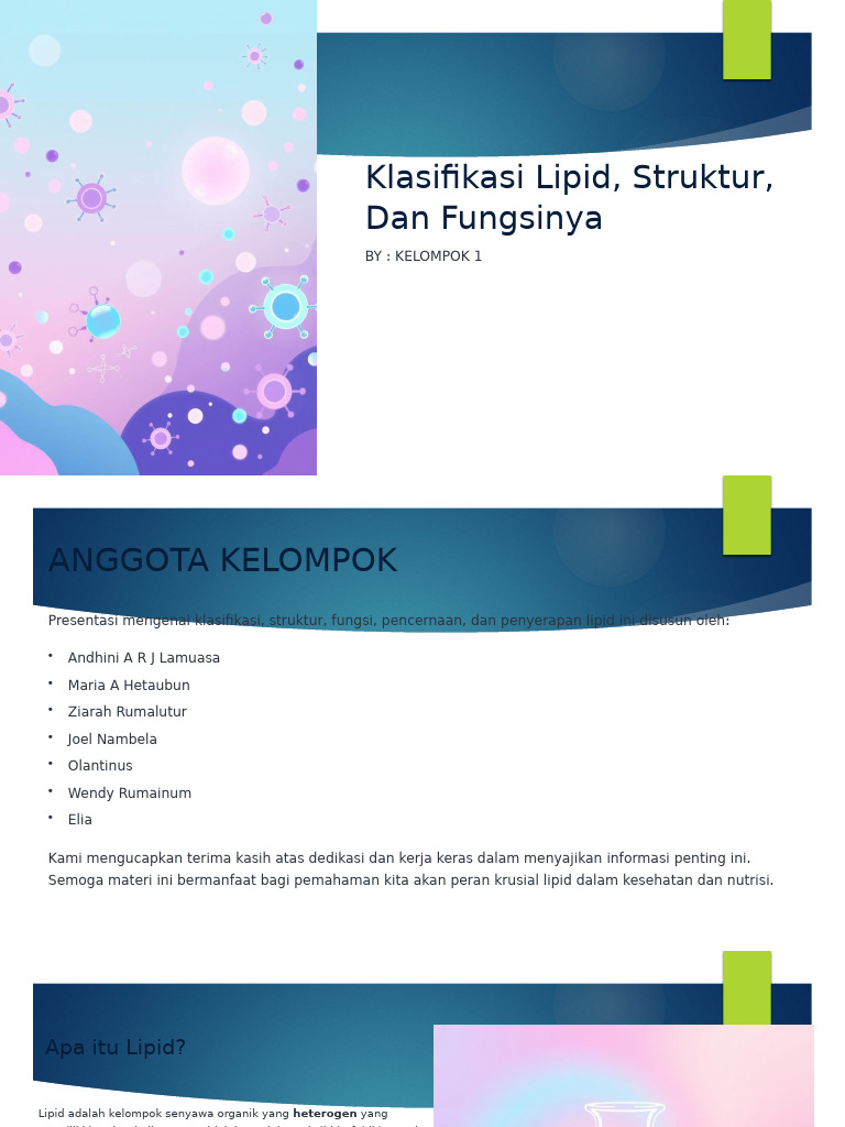 Klasifikasi Lipid Struktur Fungsi Serta Pencernaan Dan Penyerapannya | PDF