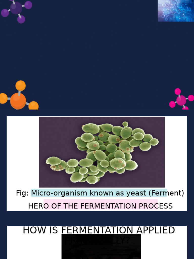 Alcohol Fermentation Process Explained | PDF