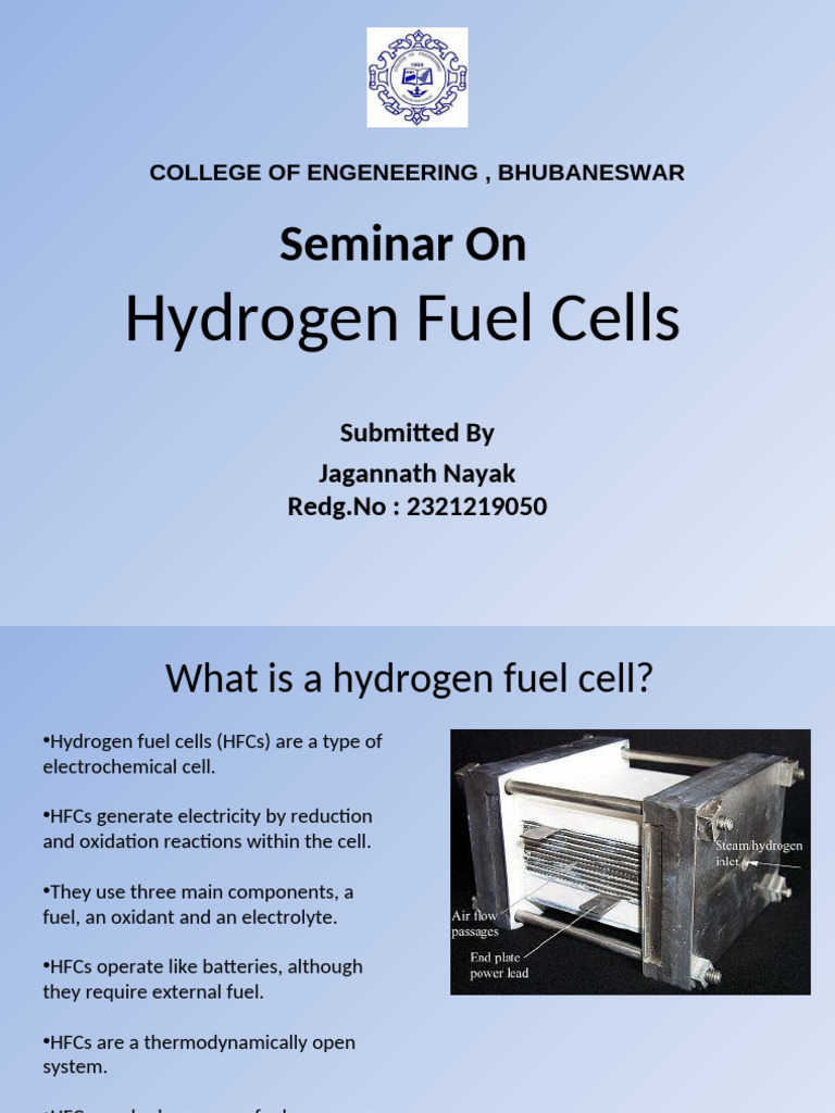 Understanding Hydrogen Fuel Cells | PDF | Fuel Cell | Electrochemistry