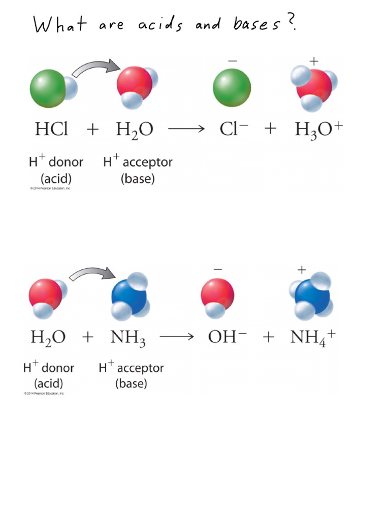 Intro To Acids and Bases | PDF