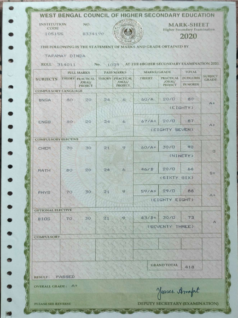 HS Marksheet - Compressed | PDF
