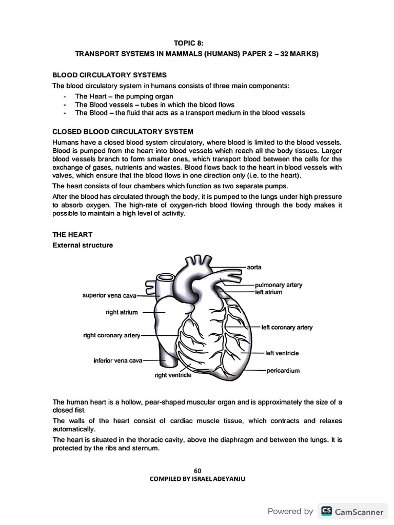 The Heart Notes | PDF