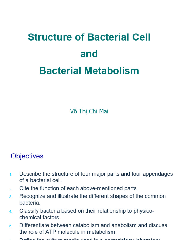 S1 Bacterial Structure-Metabolism 22 2025 P | PDF | Bacteria | Cell ...