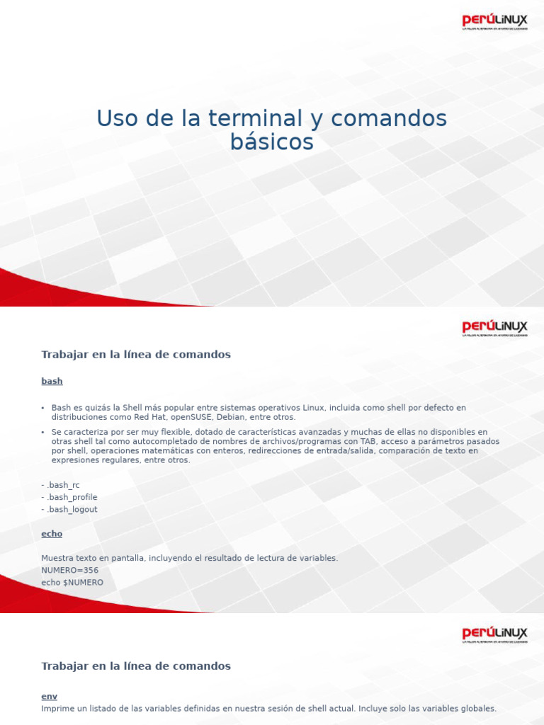 Uso de La Terminal y Comandos Basico - 1 | PDF | Archivo de computadora | Shell (informática)