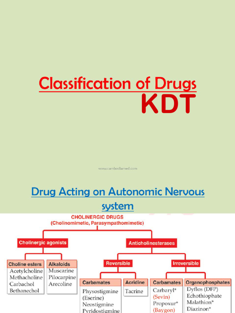 Classification KDT | PDF