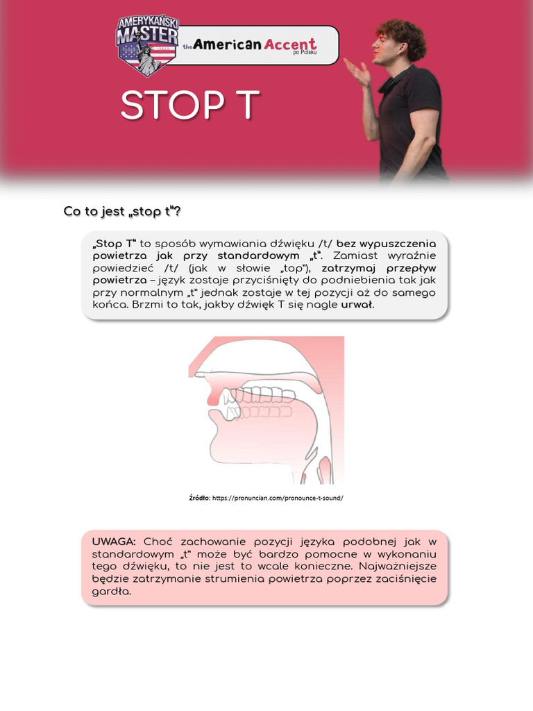 STOP T Freebie | PDF