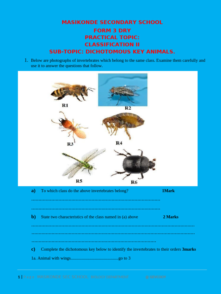 Biology Dry Practical Dichotomous Key Animals | PDF | Zoology | Insects