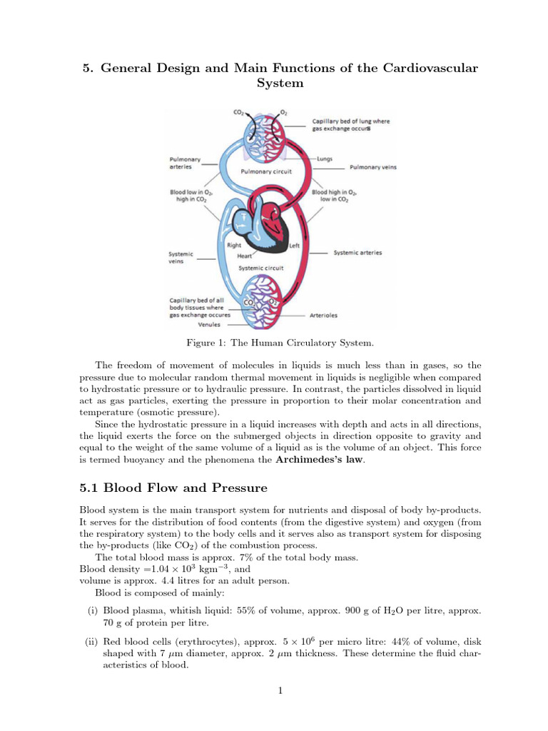 Cardiovascular System: Design & Function | PDF | Blood Vessel | Blood ...