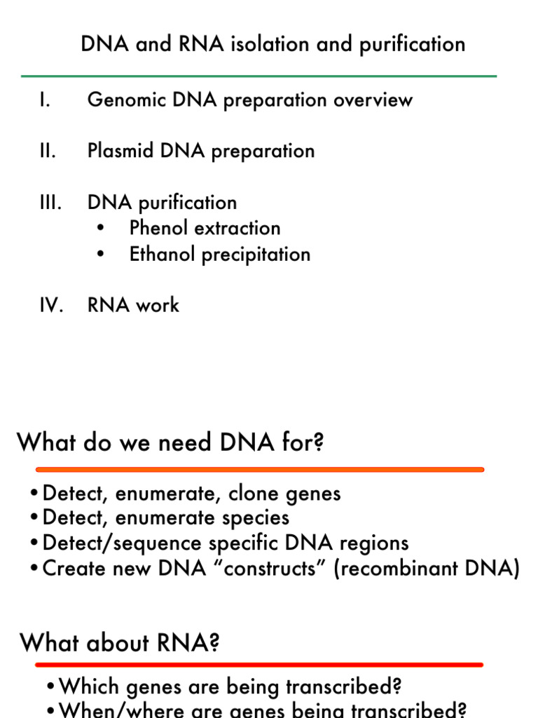 DNA and RNA Extraction Techniques | PDF | Dna | Protein Purification
