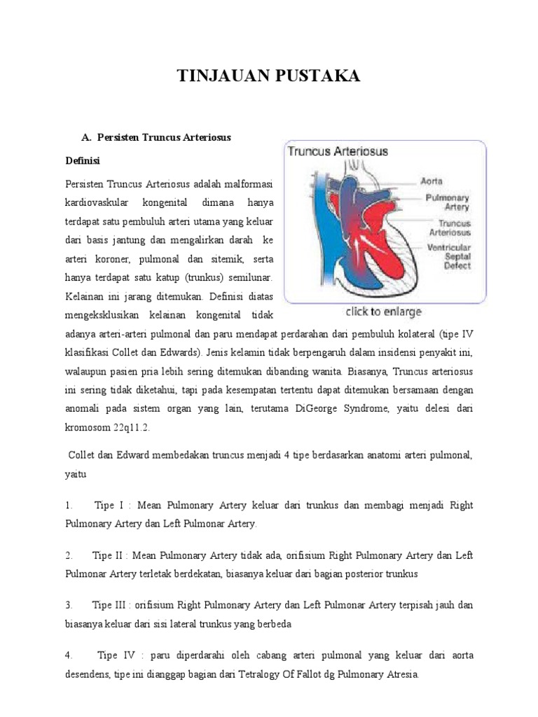 Persisten Truncus Arteriosus | PDF