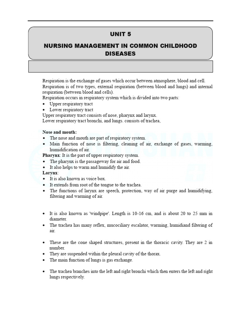 Child Health Nursing: Respiratory System Overview | PDF | Common Cold ...