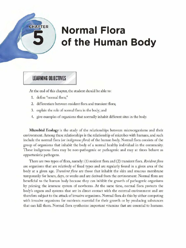 Understanding Normal Flora in Humans | PDF | Streptococcus | Lactobacillus