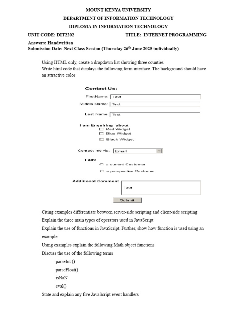 Internet Programming CAT ONE | PDF