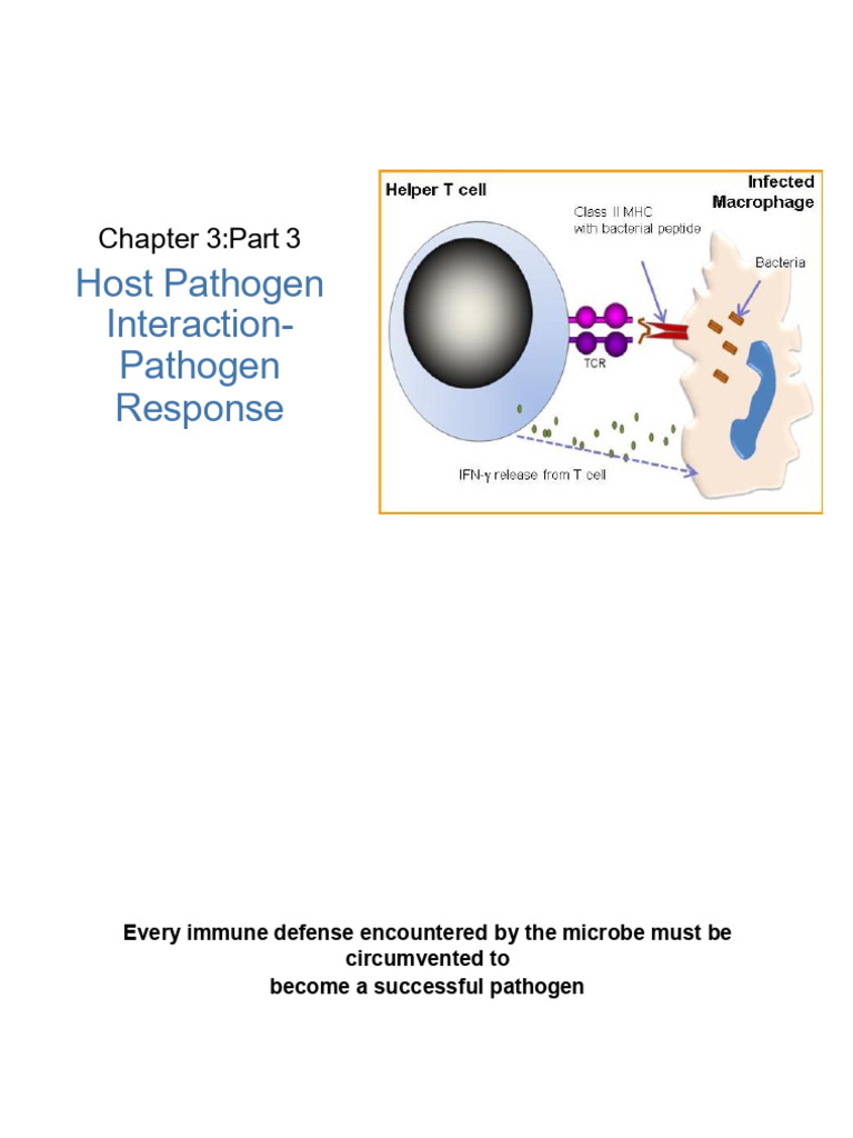 Host Pathogen Interation - Immunity - Part3 | PDF