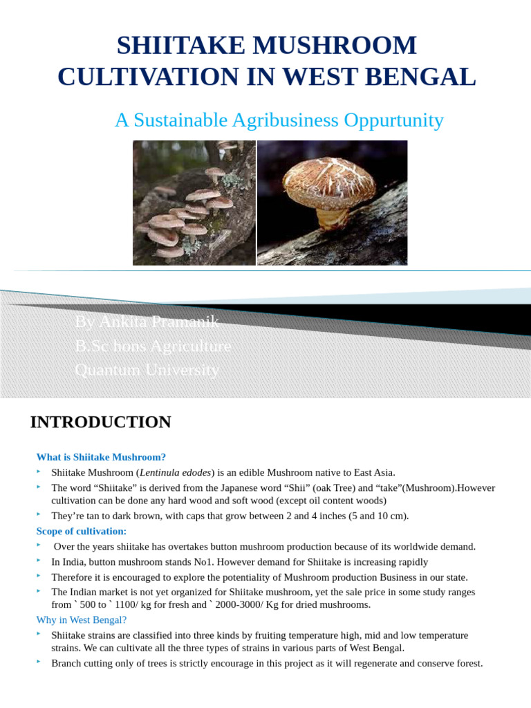 Shiitake Mushroom Cultivation Guide | PDF | Mushroom