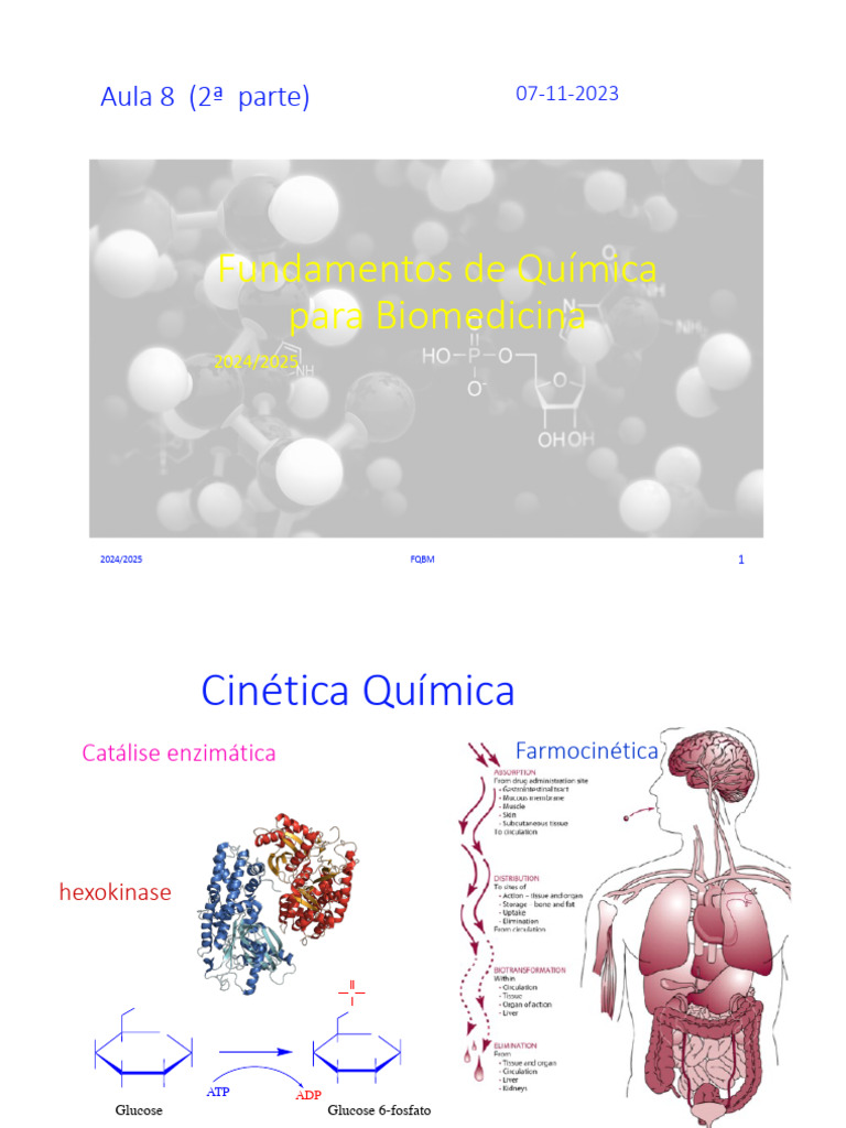 06 Cinetica Quimica 07 11 2024 2025 | PDF | Reações químicas ...