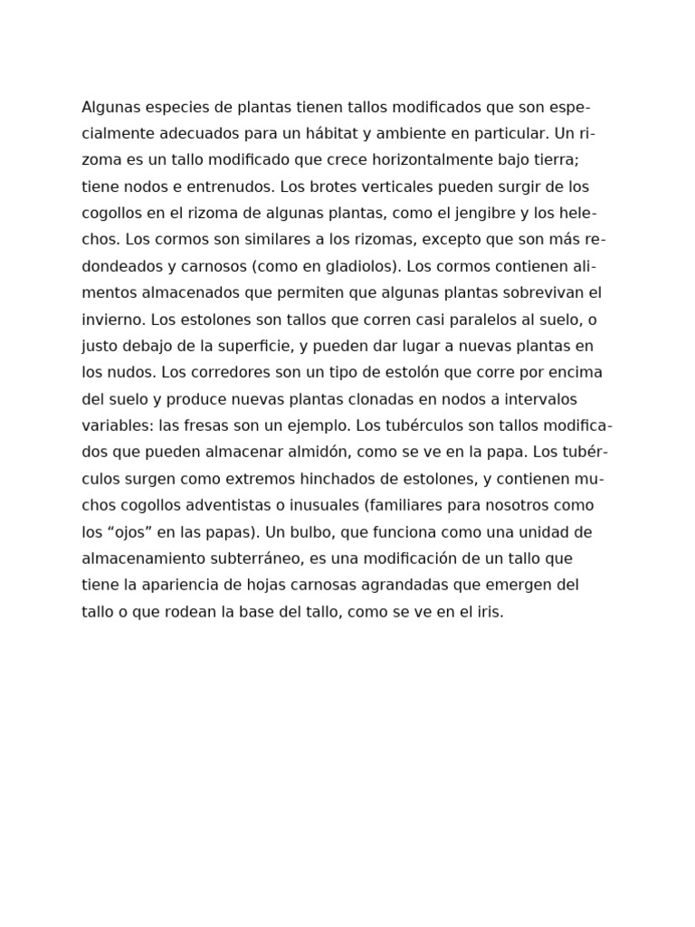 Modificaciones de tallos en plantas | PDF | Tallo de la planta | Plantas