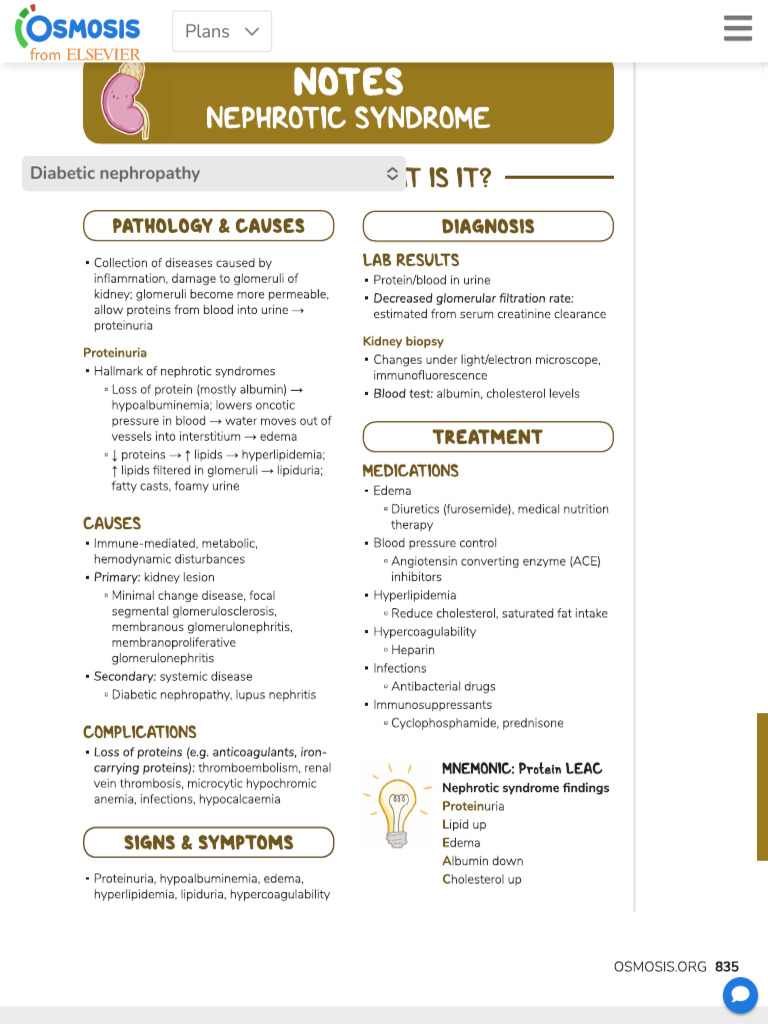 Nephrotic Syndrome Notes Diagrams Illustrations Osmosis Pdf