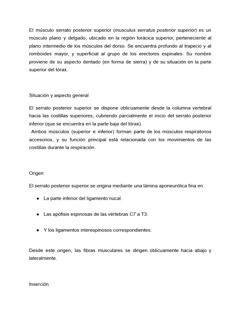 Músculo Serrato Posterior Superior | PDF | Tórax | Anatomía humana