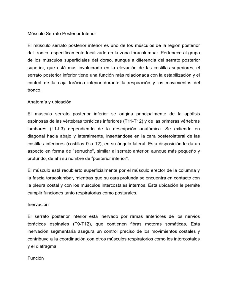 Músculo Serrato Posterior Inferior | PDF | Tórax | Sistema respiratorio