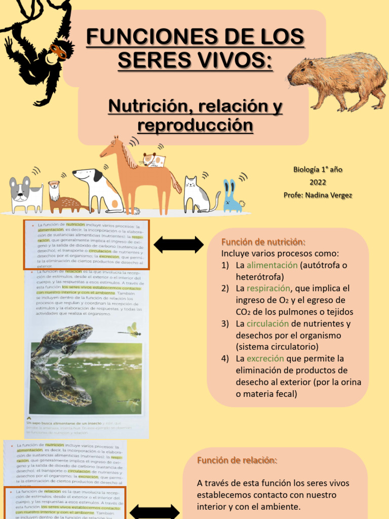 Funciones Vitales de los Seres Vivos | PDF | Reproducción | Organismos