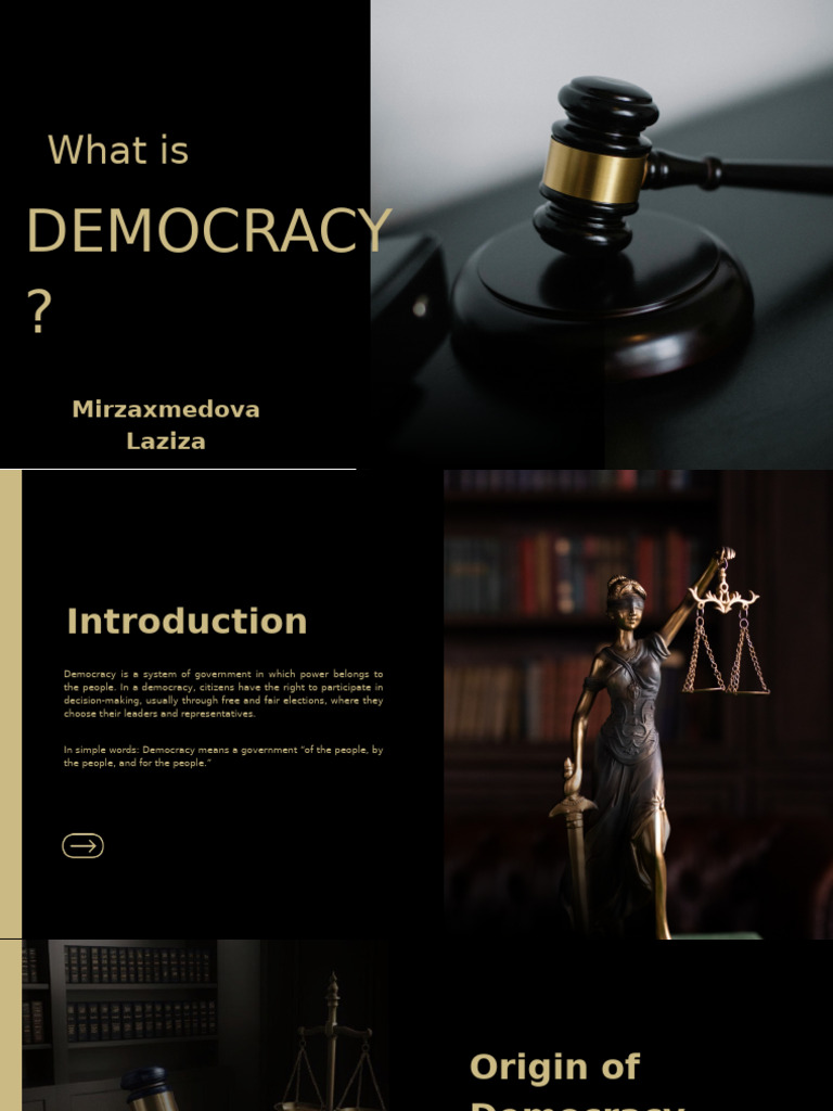 Understanding Democracy: Key Concepts | PDF | Democracy | Political ...