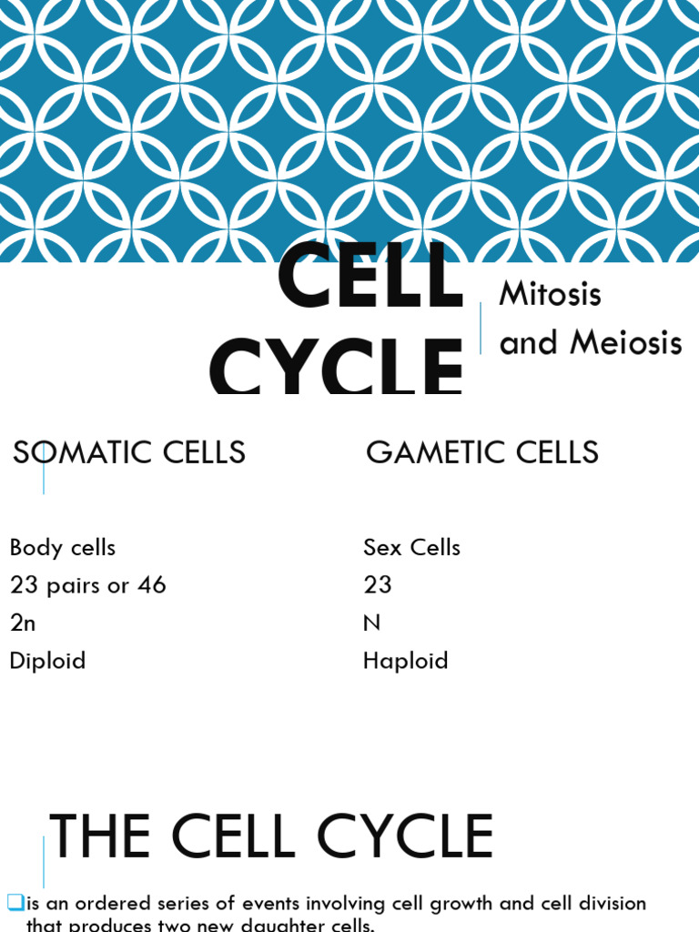 Cell Cycle PPT 11 Gen Biology | PDF | Mitosis | Cell (Biology)