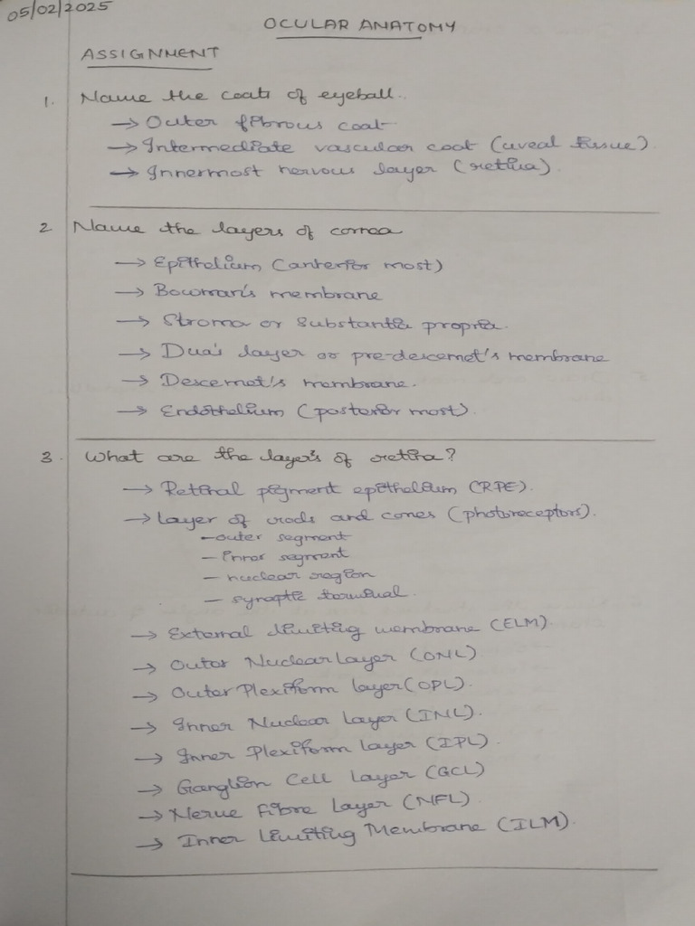 Ocular Anatomy-Ophthalmology (05.02.2025) | PDF