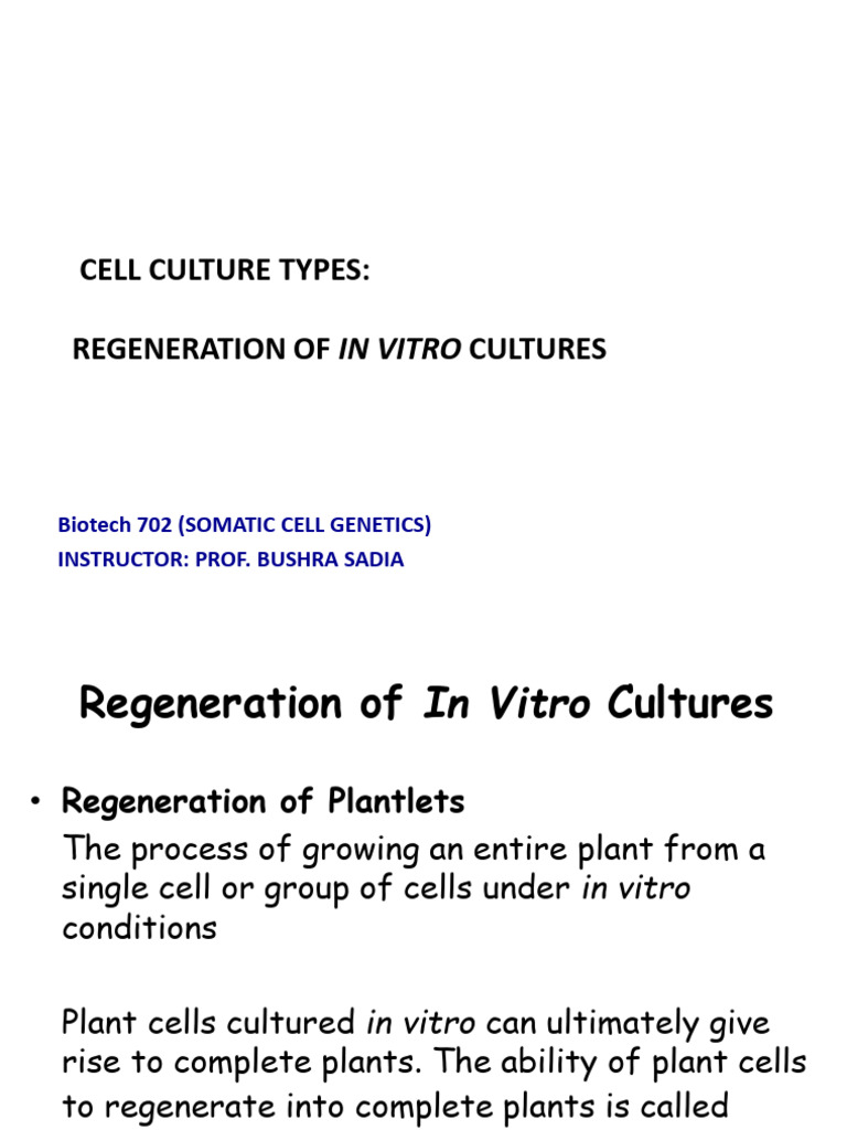 In Vitro Plant Cell Regeneration Techniques | PDF | Embryo ...