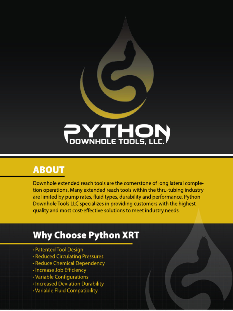 Python Brochure Example | PDF