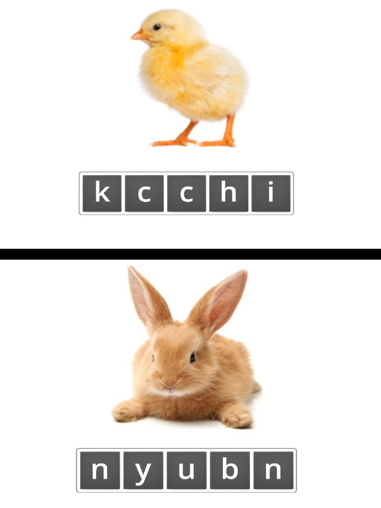 Anagram Cz1 | PDF