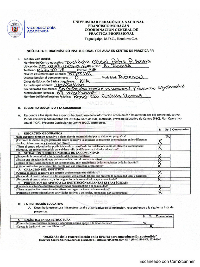 Diagnóstico PP2 IPPA | PDF