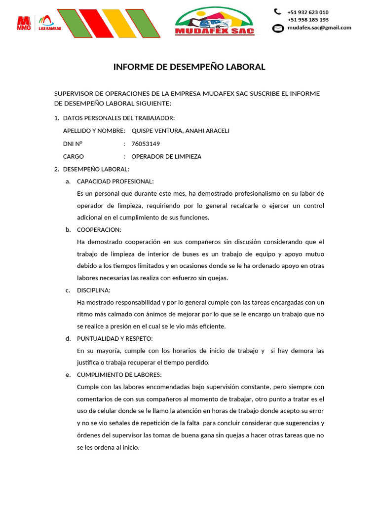 Informe de Desempeño Laboral Anahi | PDF