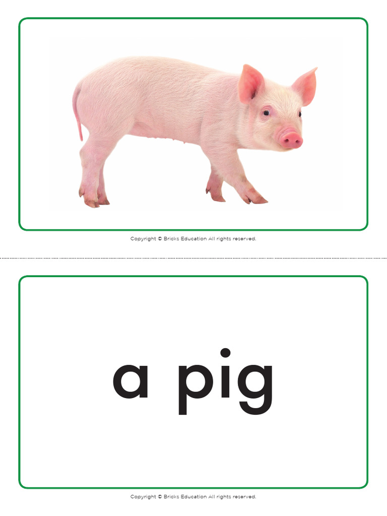 English Bus L2 Flashcard Unit 02 Student | PDF | All Rights Reserved