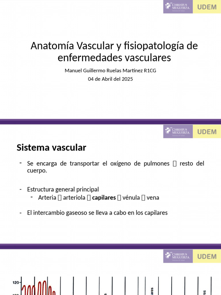 Anatomía Vascular y Fisiopatología de Enfermedades Vasculares | PDF ...