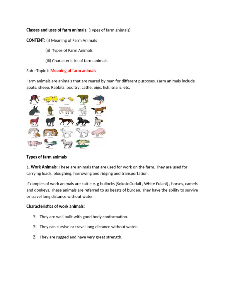 Classes and Uses of Farm Animals | PDF | Livestock | Cattle