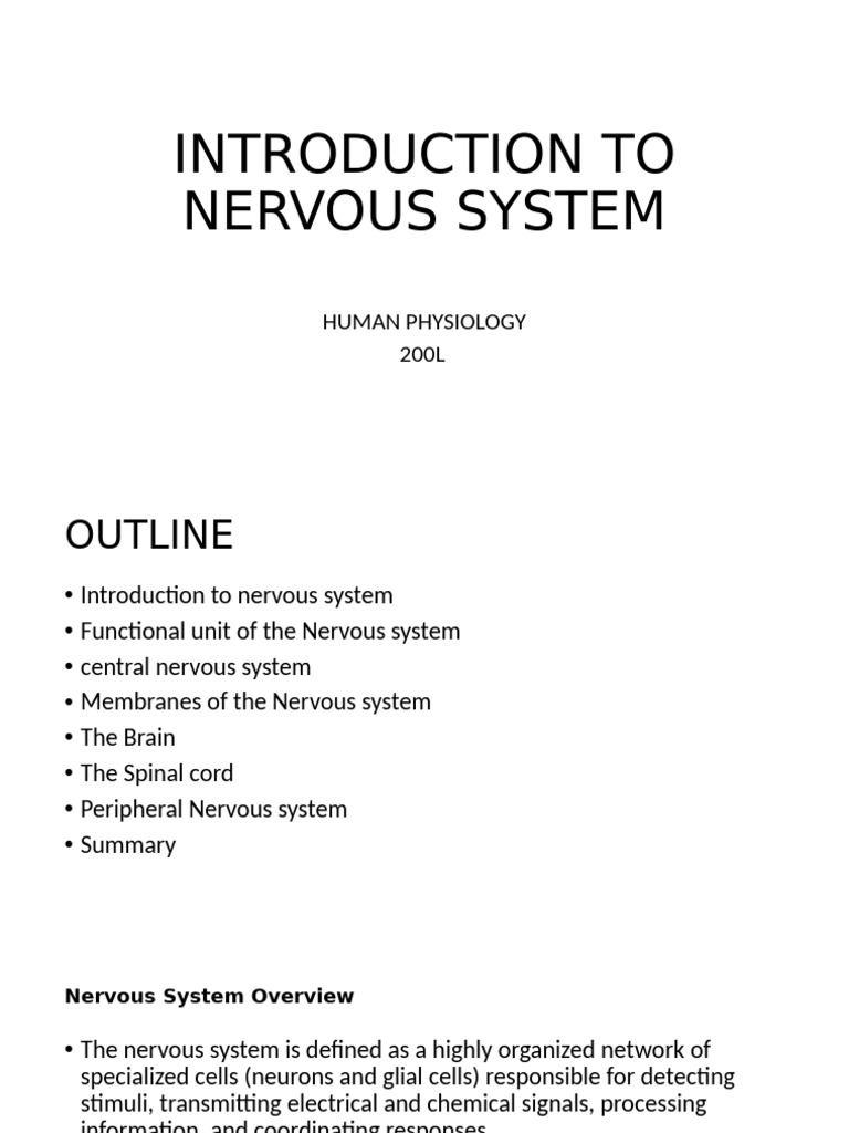 Overview of the Human Nervous System | PDF | Nervous System | Central ...