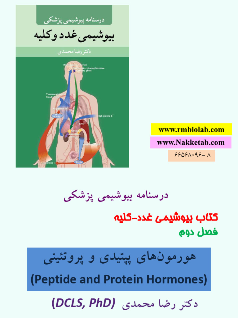 02 - Peptide & Protein Hormones | PDF