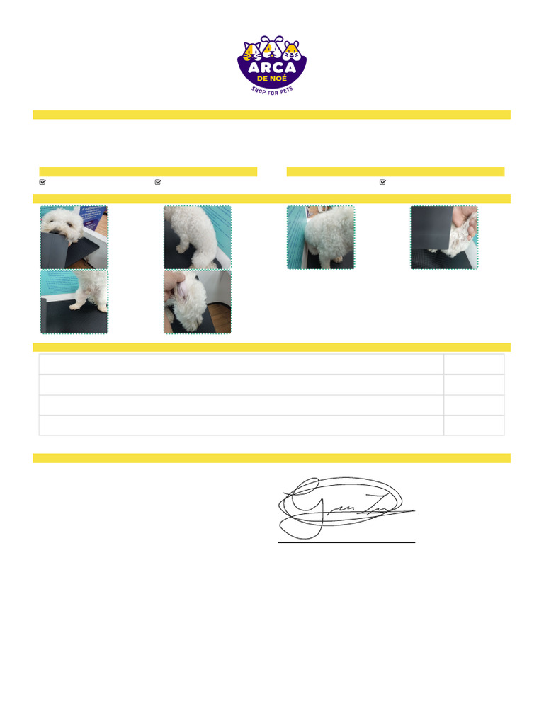Grooming Completo para Perro Benji | PDF