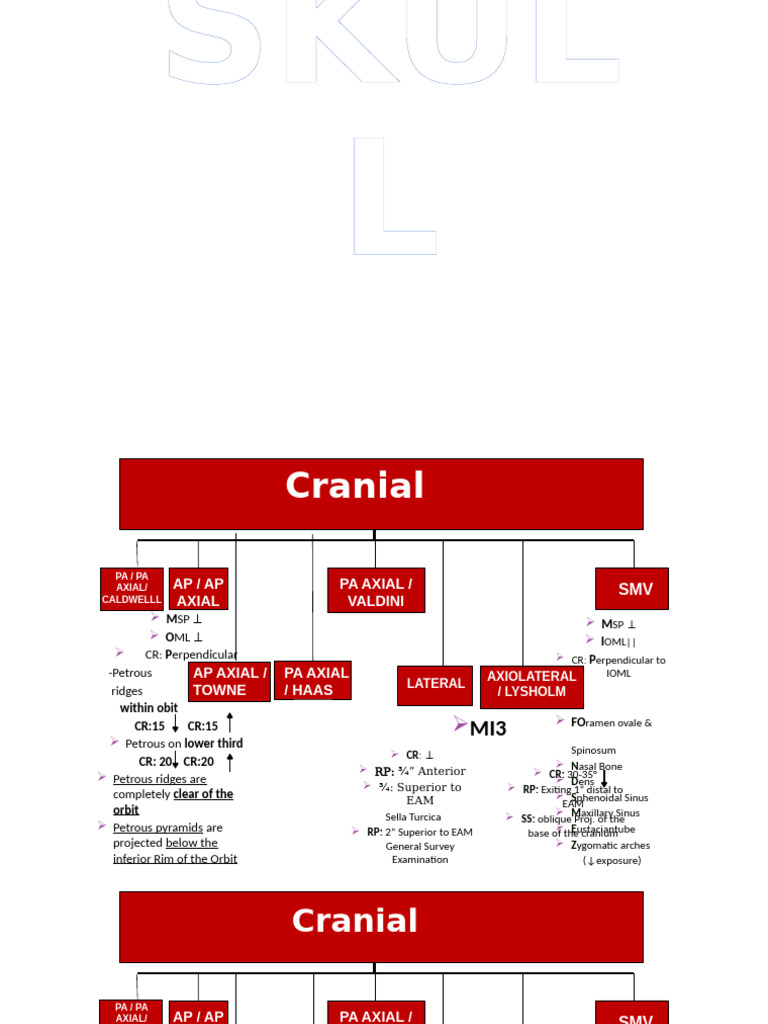 SKULL Radiographic Positioning - Summary | PDF | Skull | Skeletal System
