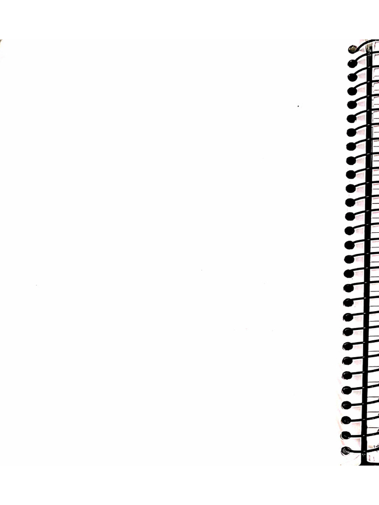 TXL 111 Notes | PDF