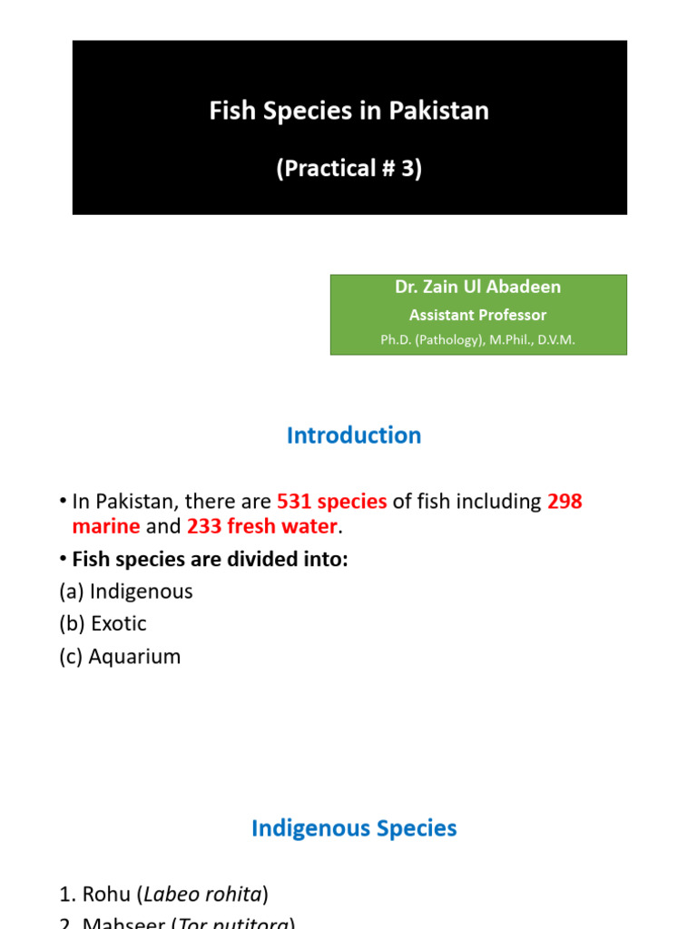 Fish Species and Varieties in Pakistan | PDF | Fish | Fish And Humans