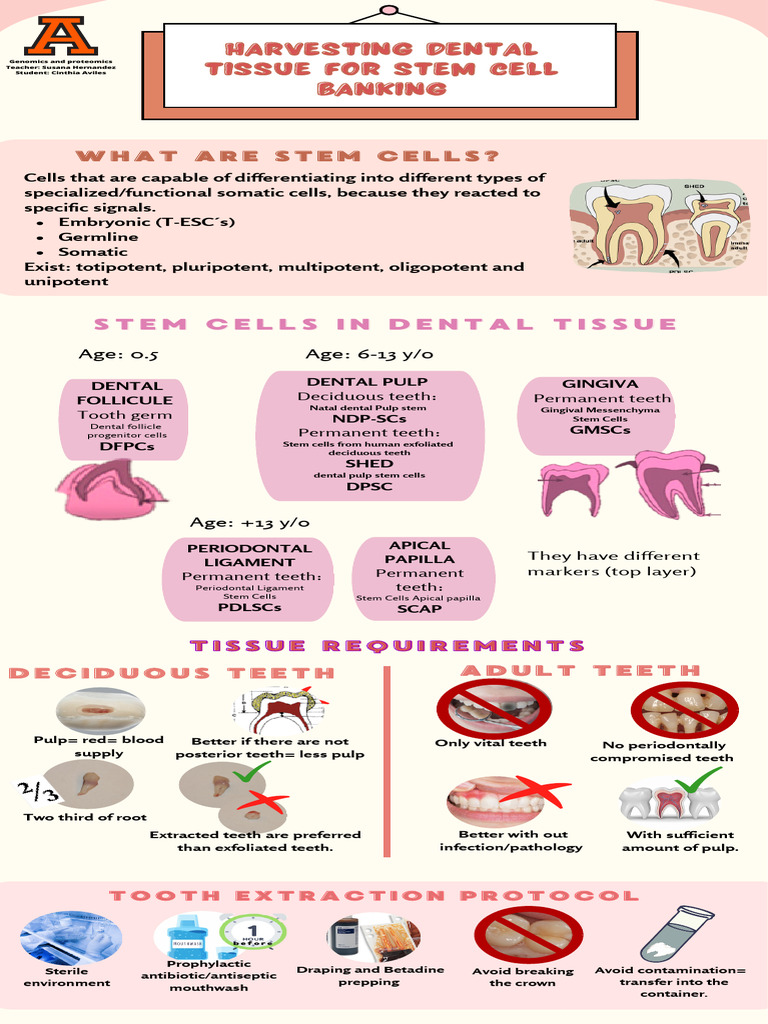 Harvesting Dental Tissue For Stem Cell Bankingl | PDF | Cell Potency ...