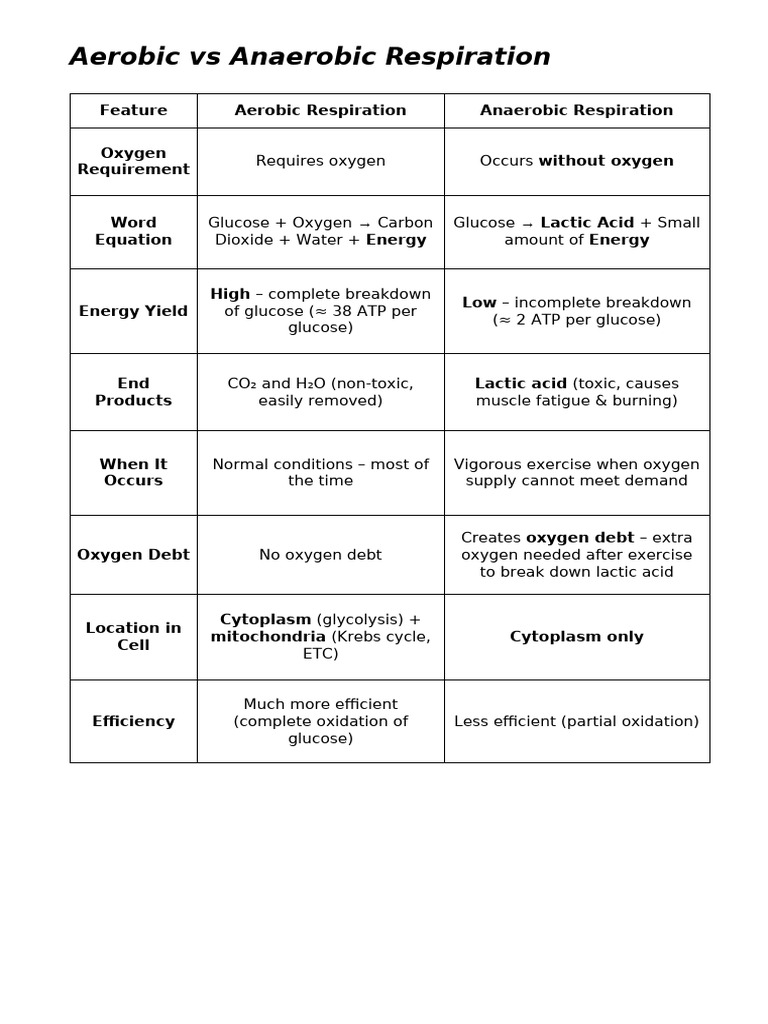 Aerobic Vs Anaerobic | PDF